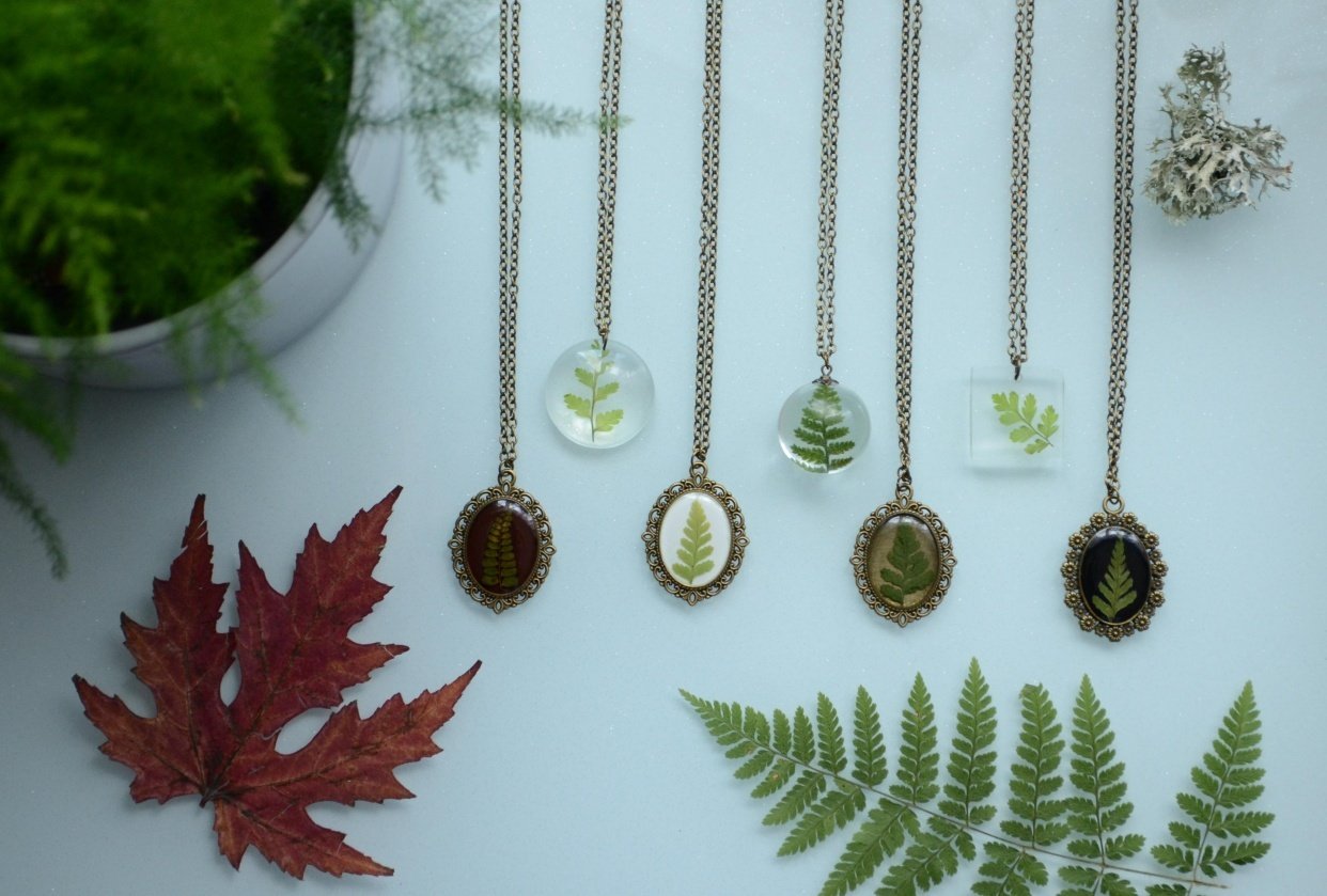 Fern collection | Skillshare Student Project