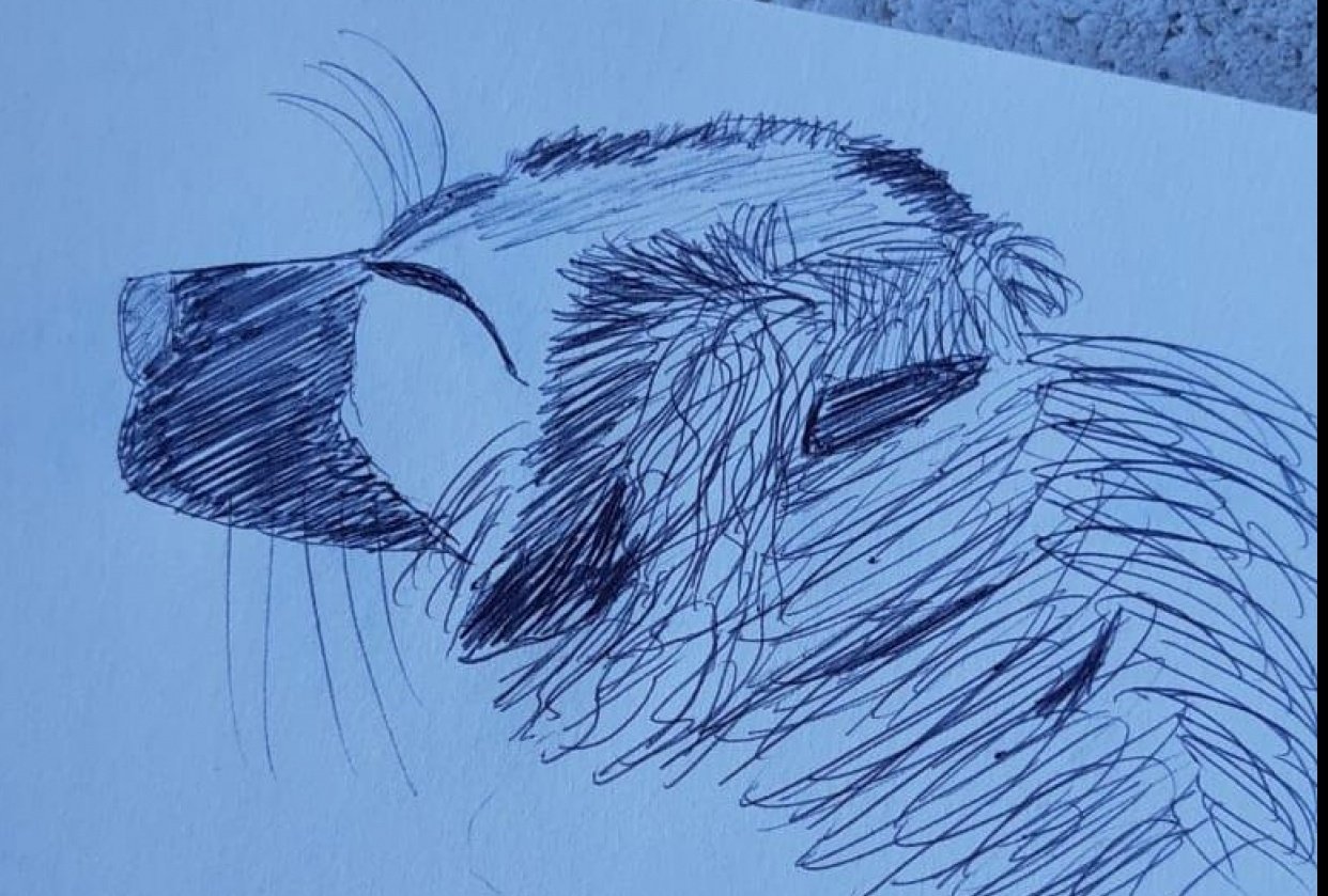 Drawing | Skillshare Student Project