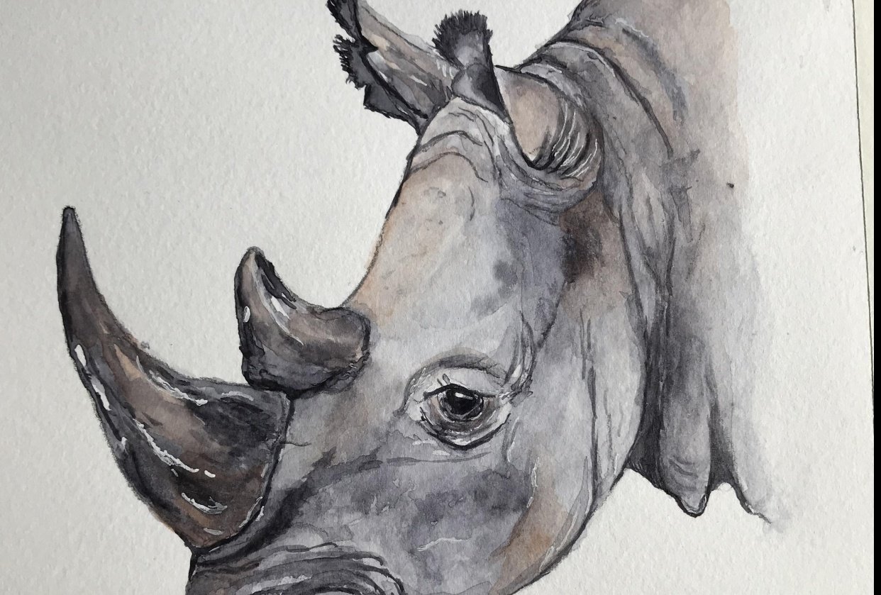 Controlling Water Practice | Skillshare Student Project