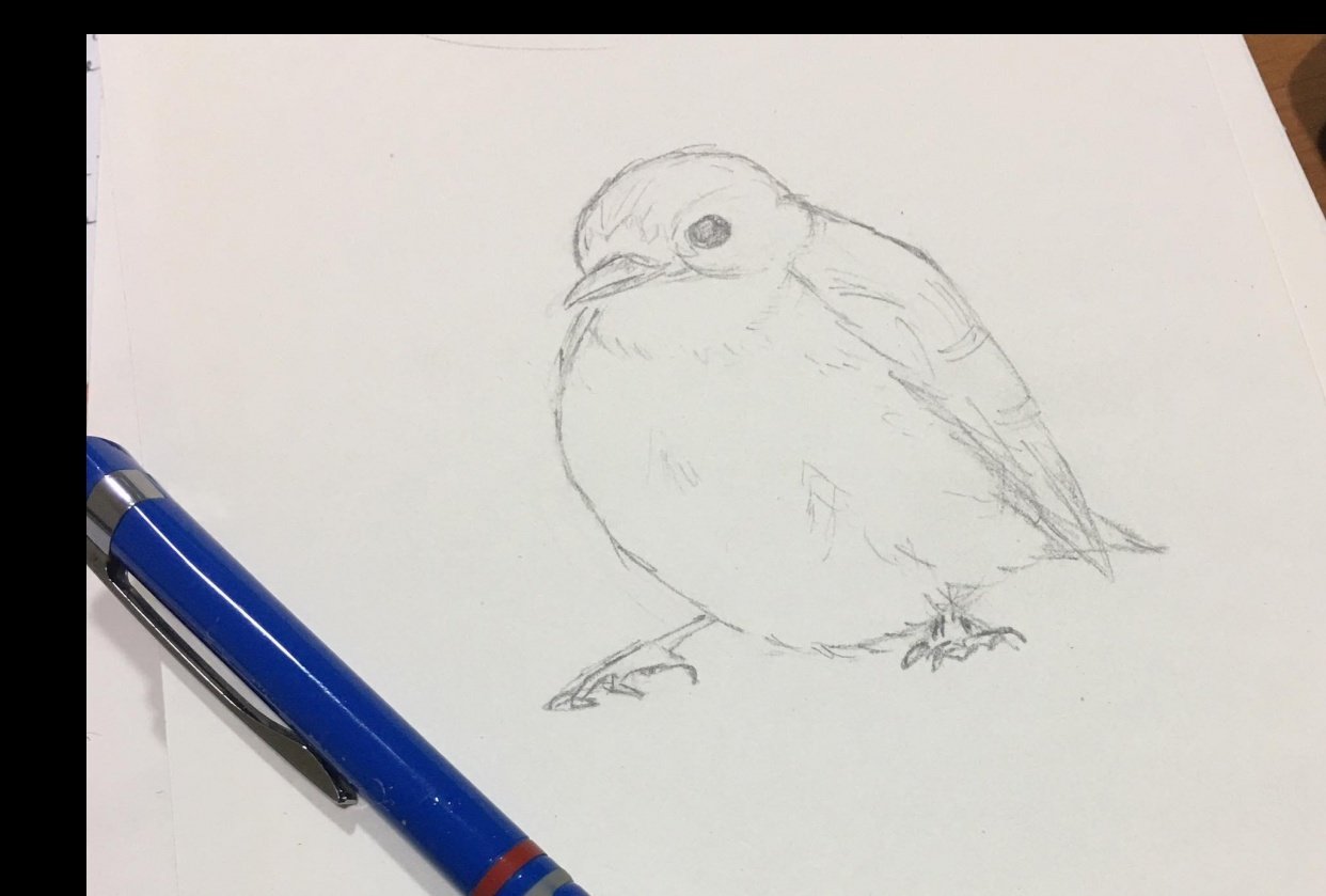 I can draw :) | Skillshare Student Project