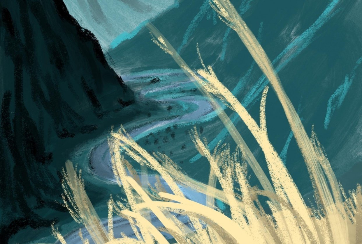 Procreate | Skillshare Student Project