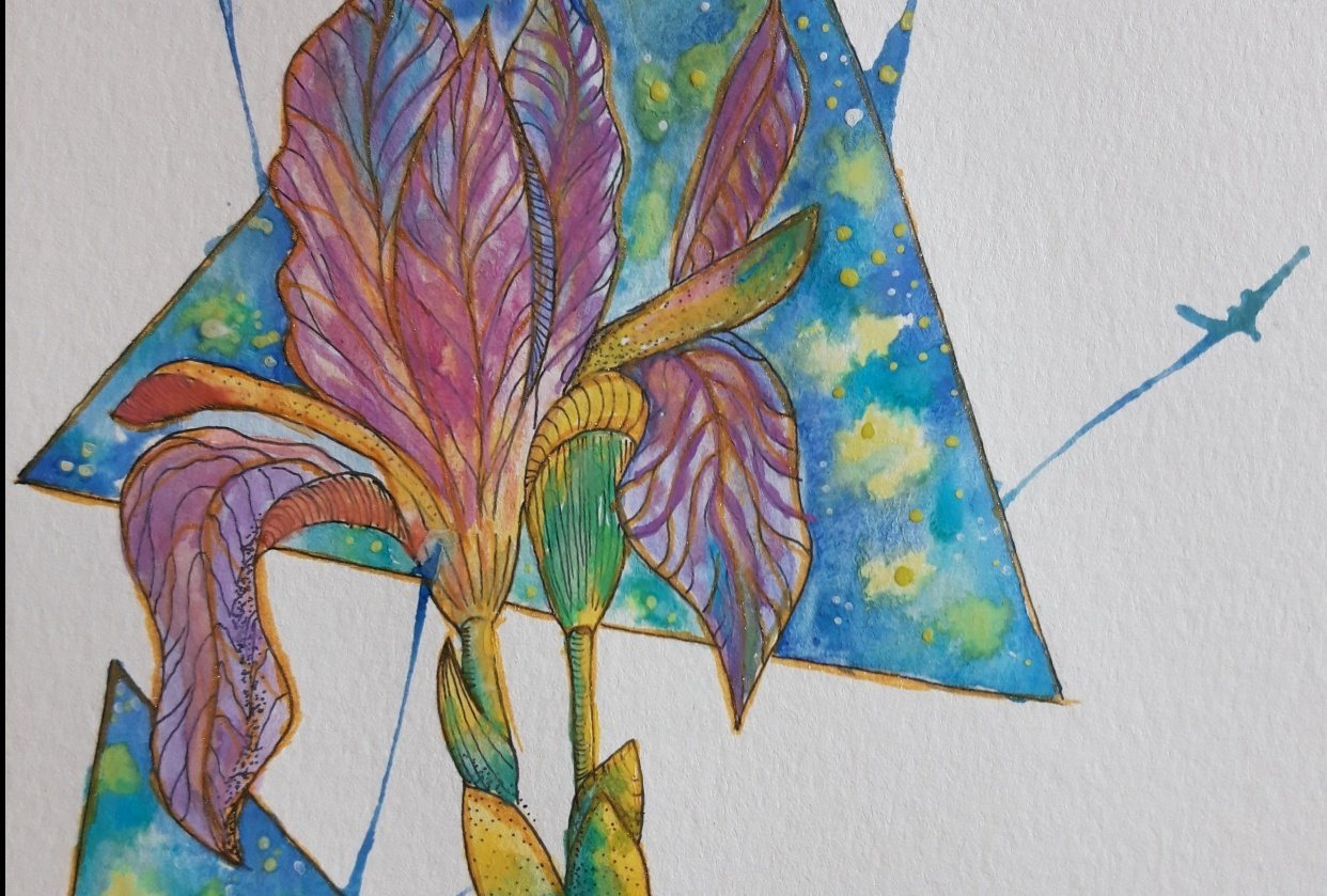 Enthusiast beginner | Skillshare Student Project