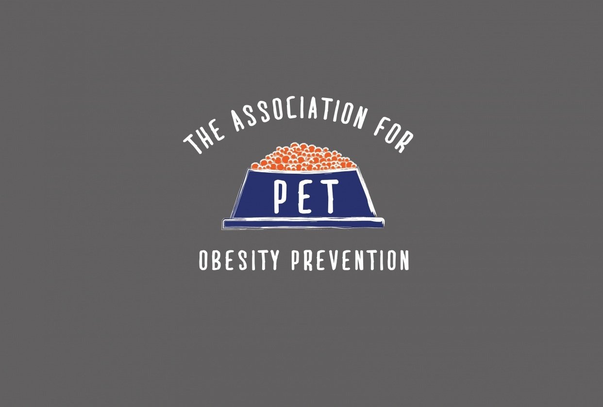 Illustrator Exercise | Skillshare Student Project