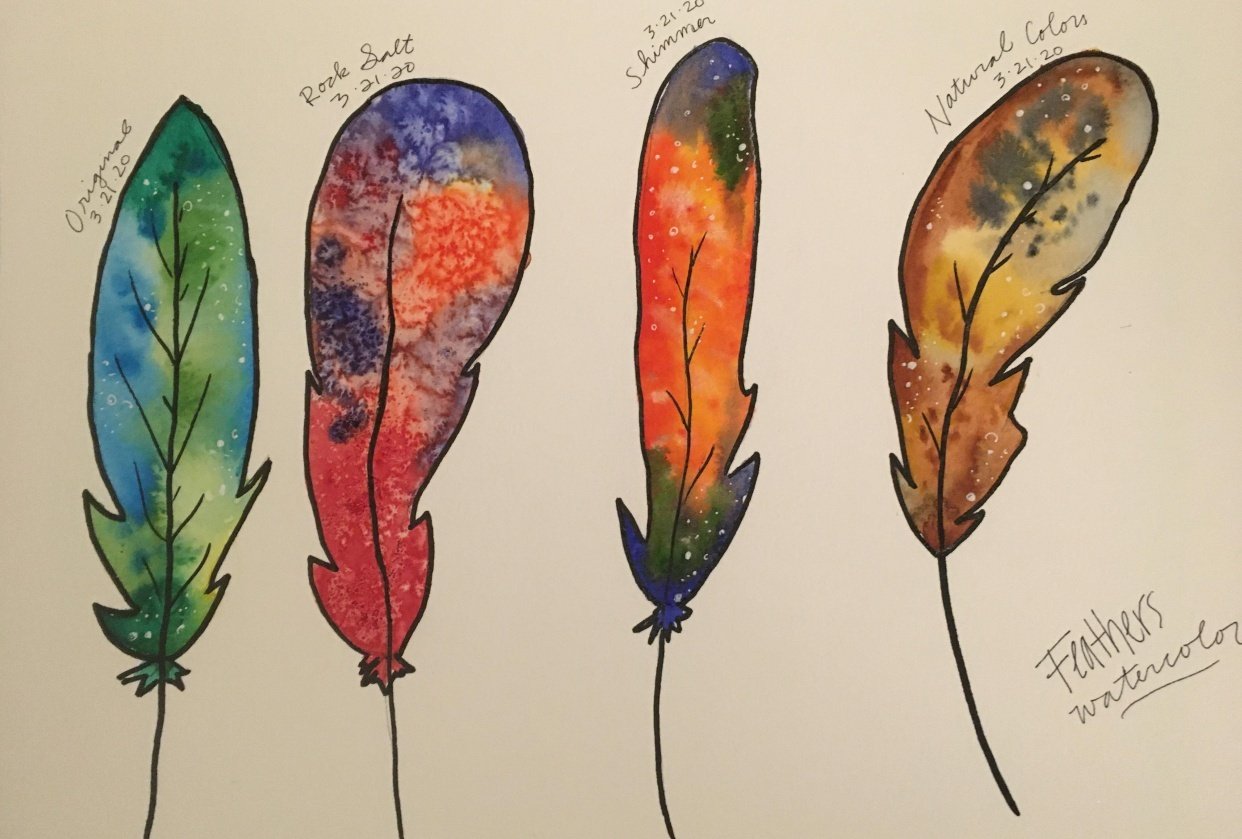 Feathers | Skillshare Student Project