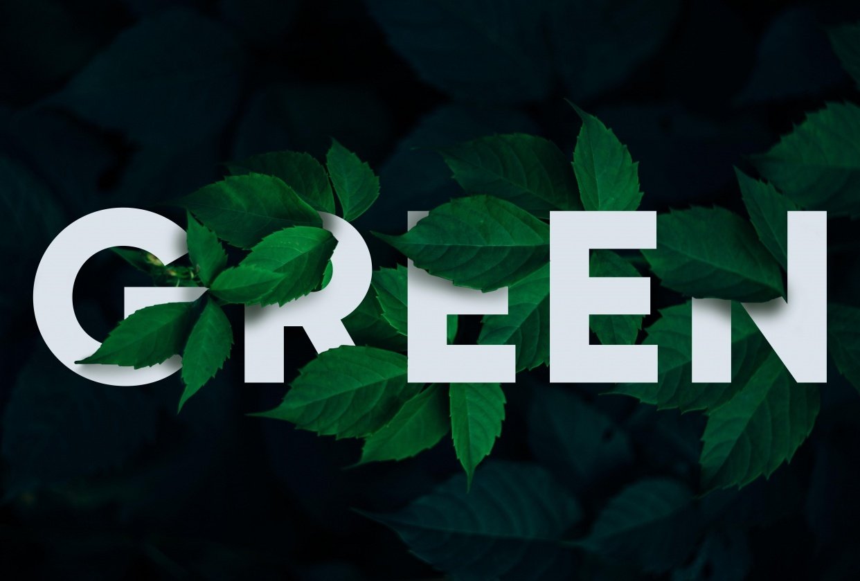 PS Essentials Projects | Skillshare Student Project