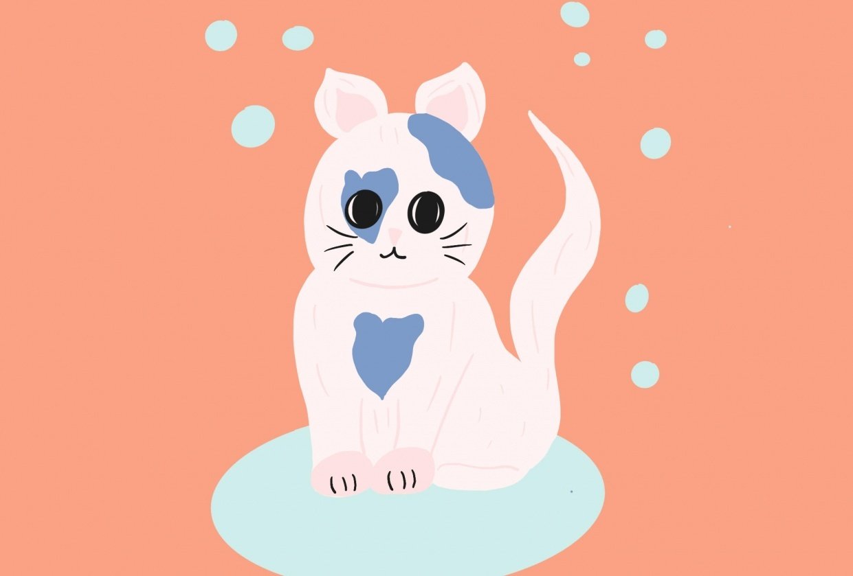 Cat Bubble | Skillshare Student Project