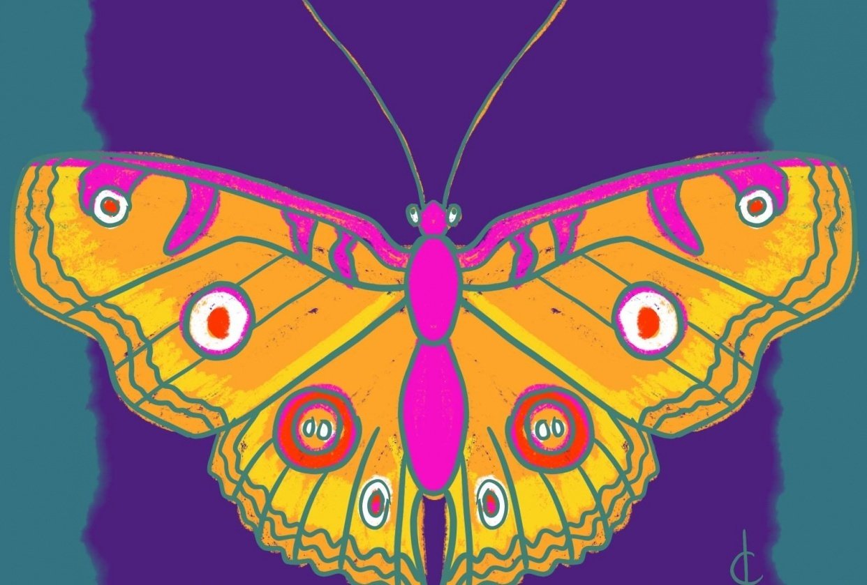 Psychedelic butterfly | Skillshare Student Project