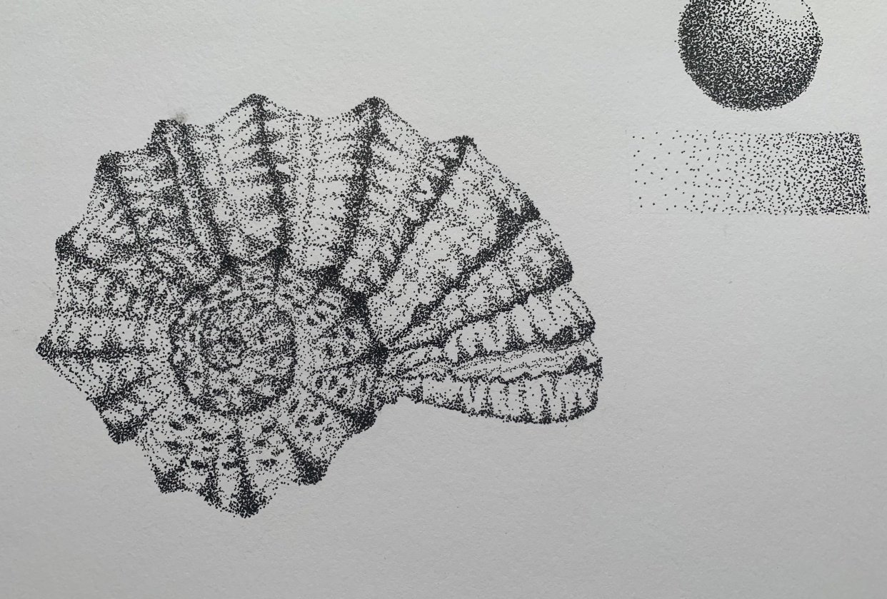 Get Started with Stippling Project | Skillshare Student Project