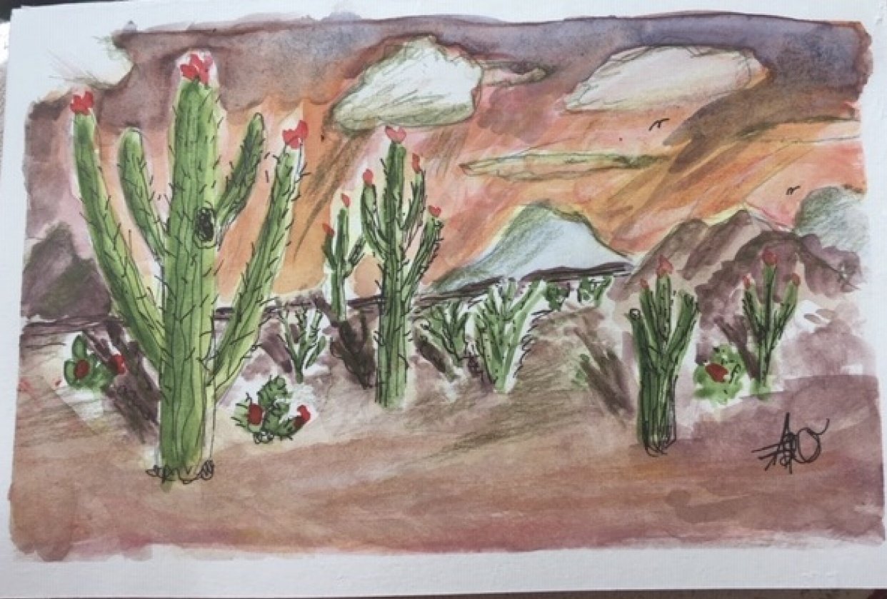 1st Cactus | Skillshare Student Project