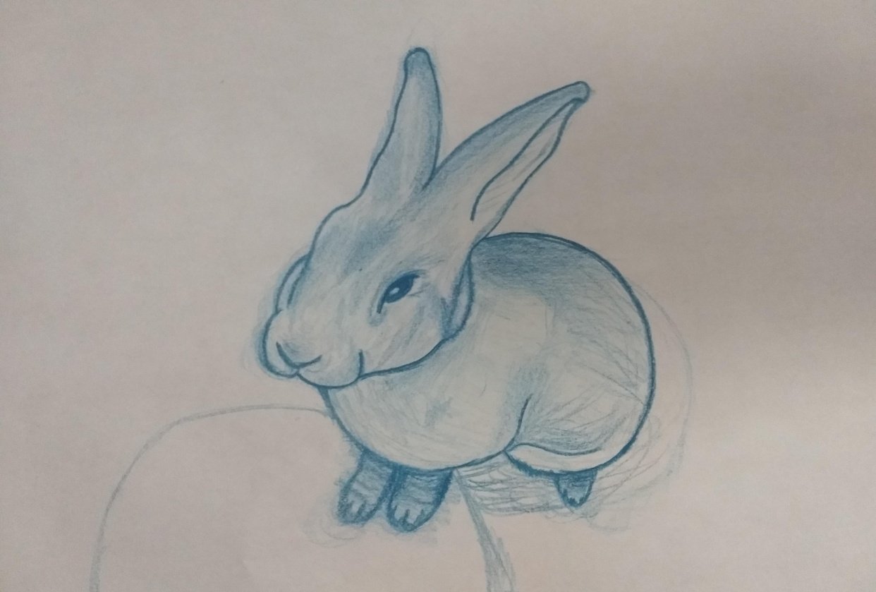 Week 1 Putting It All Together - Frankenstein the Rabbit | Skillshare ...