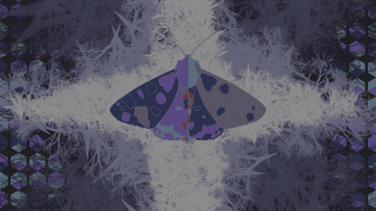 Moth | Skillshare Student Project