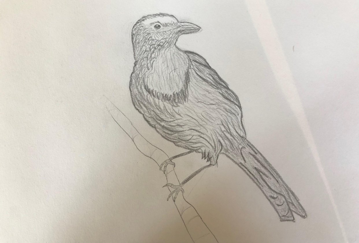 2nd try... | Skillshare Student Project