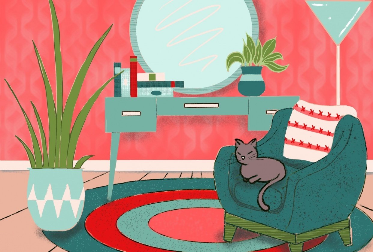 Cat Studio Space | Skillshare Student Project