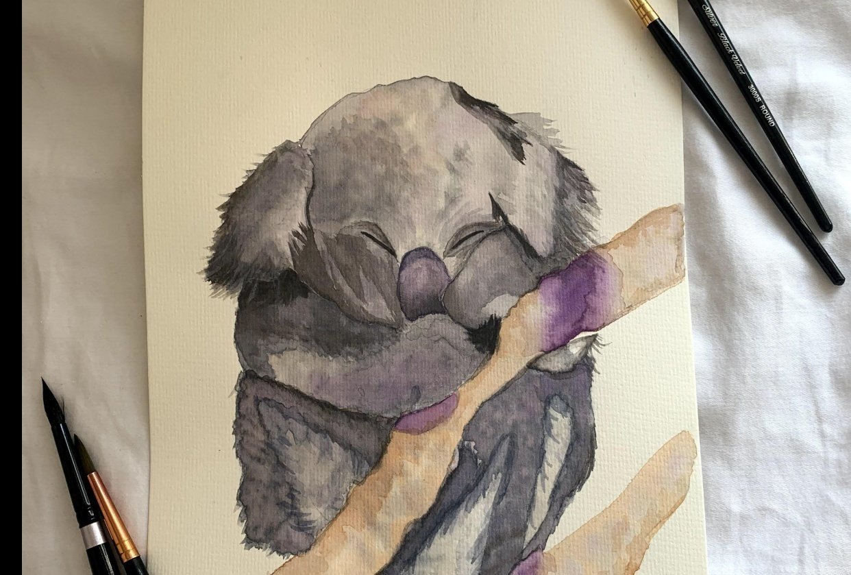 Watercolor Koala Project | Skillshare Student Project
