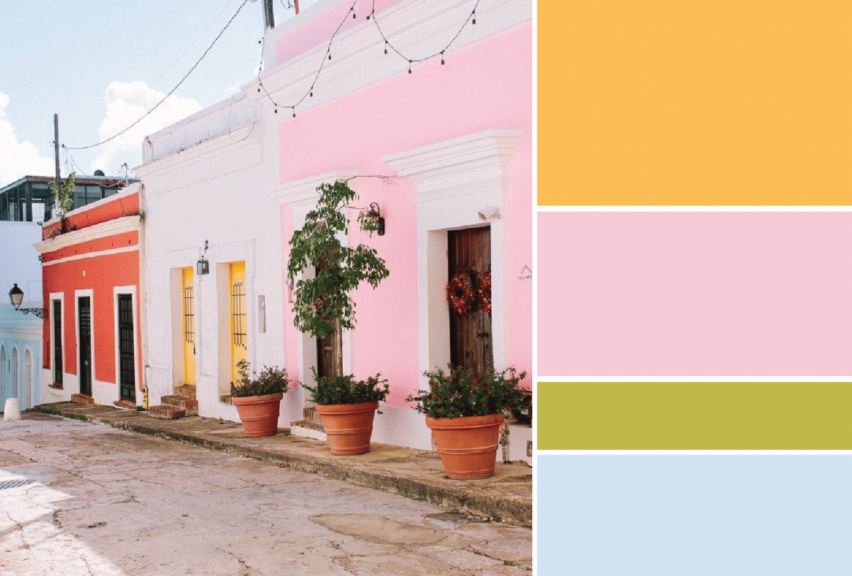 Vibrant Island Color Palette | Skillshare Student Project