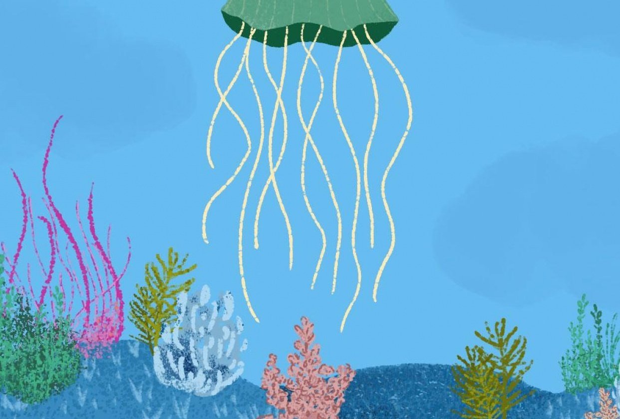 Class Ocean Theme Jellyfish Skillshare Student Project class-ocean-theme-jellyfish-skillshare-student-project