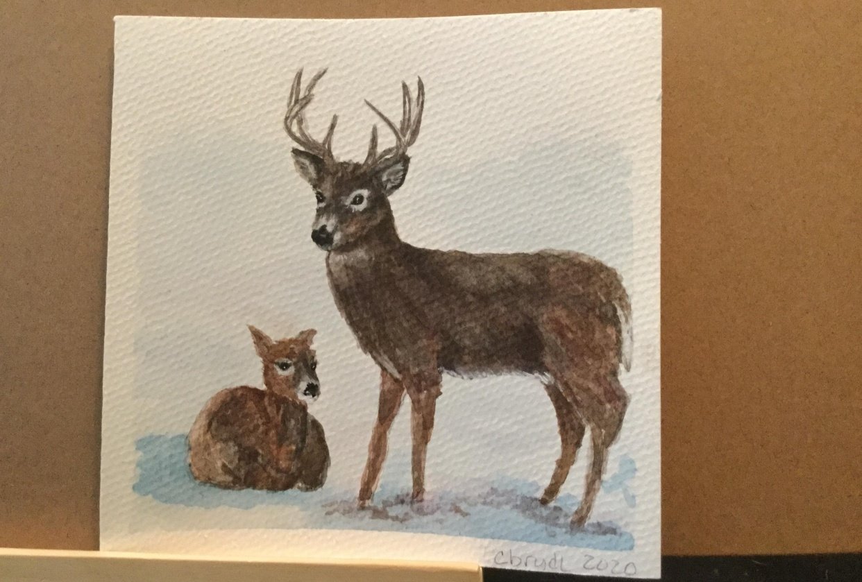 Deer project | Skillshare Student Project