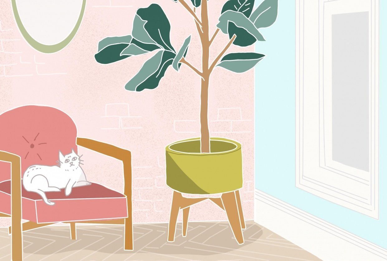 Fun With Spaces Project - Animated GIF and Image | Skillshare Student ...