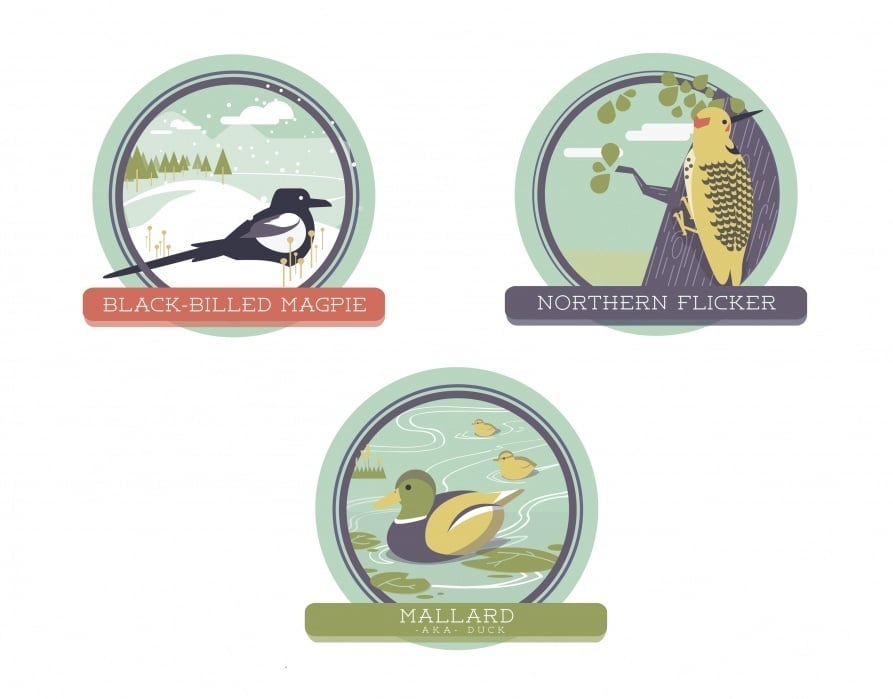 Bird Badges | Skillshare Student Project