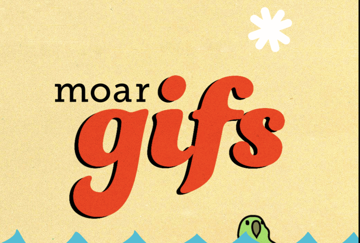 Moar gifs | Skillshare Student Project