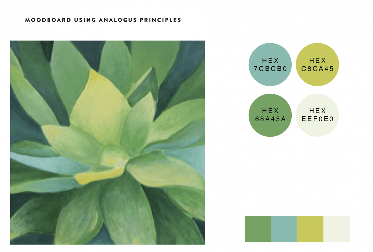 Chapter 1 Color Board | Skillshare Student Project