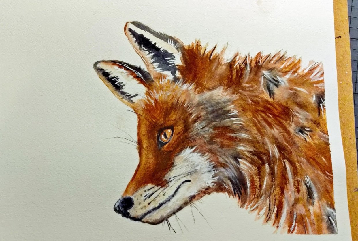 Animal Texture | Skillshare Student Project