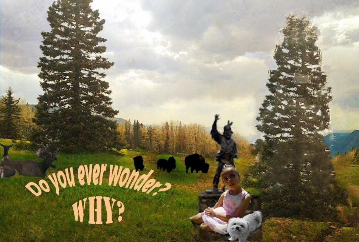 Poster Why AND 1st Portrait try | Skillshare Student Project