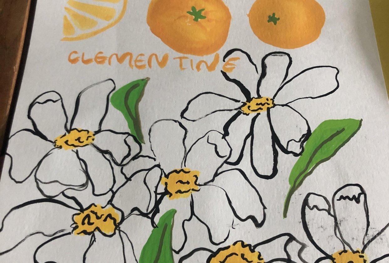 Quarantine Cuties | Skillshare Student Project