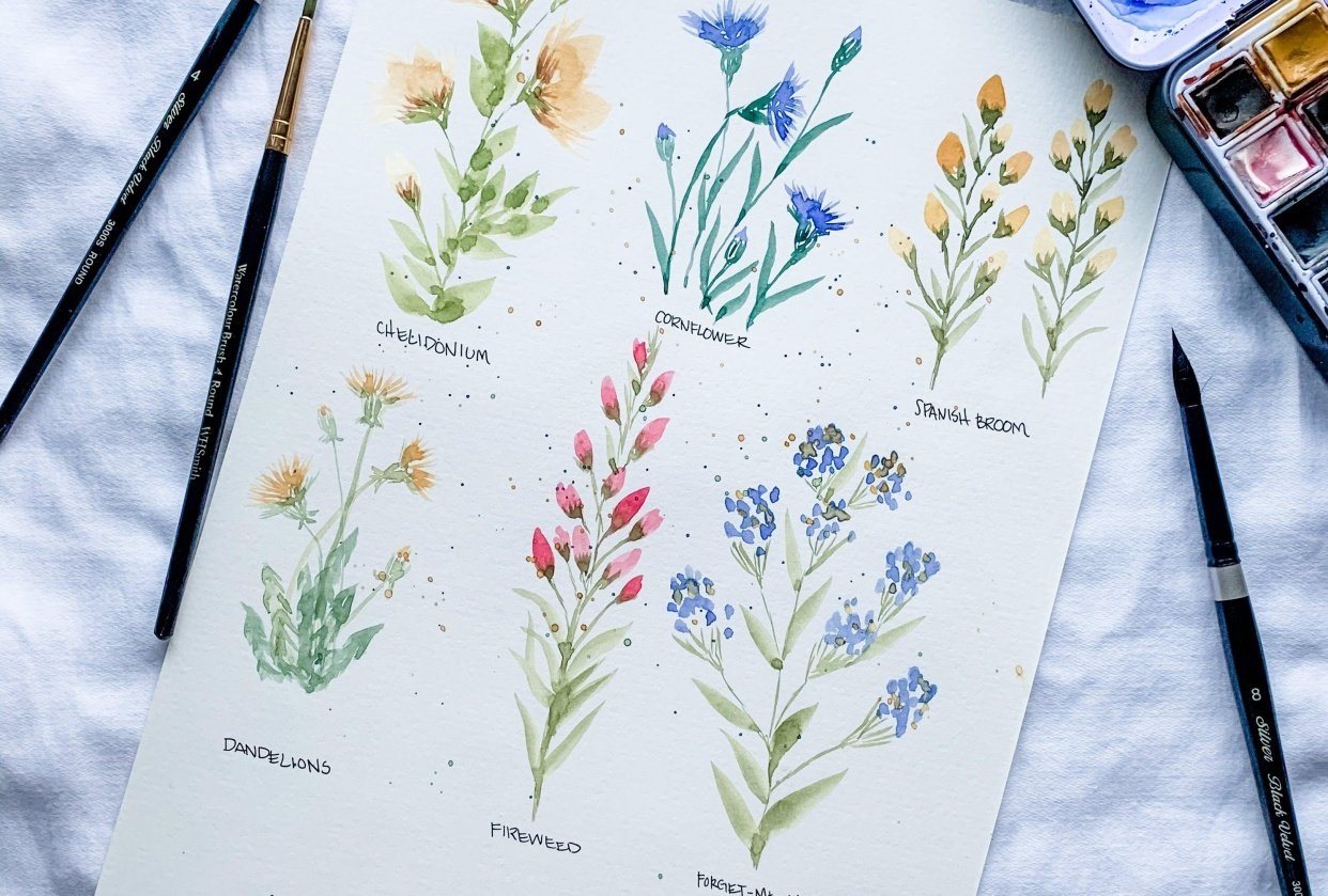 Painting Spring Wildflowers with Watercolors | Skillshare Student Project