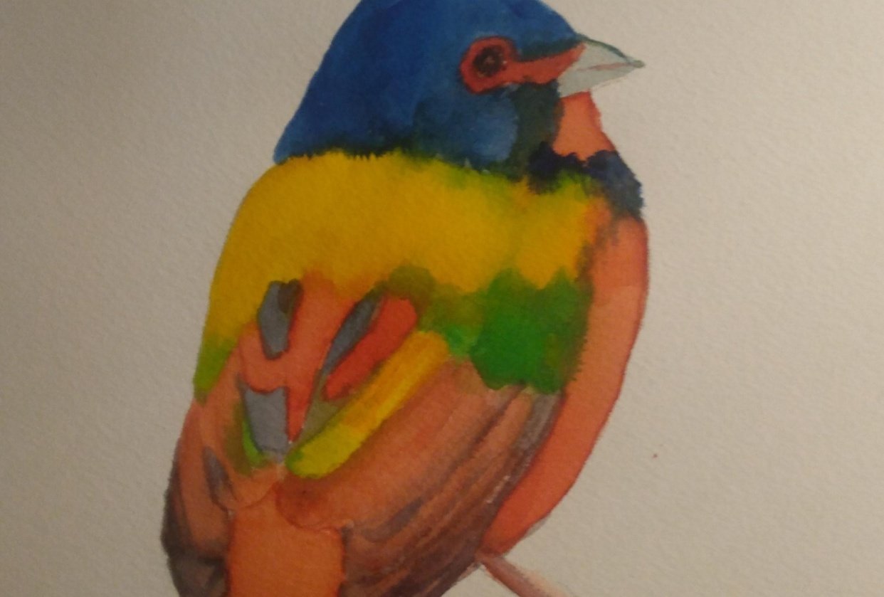 A colorful bird | Skillshare Student Project