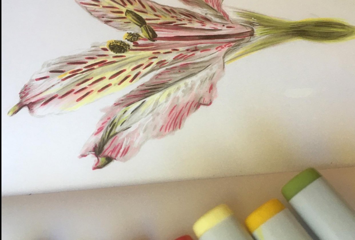 Marker Sketches | Skillshare Student Project