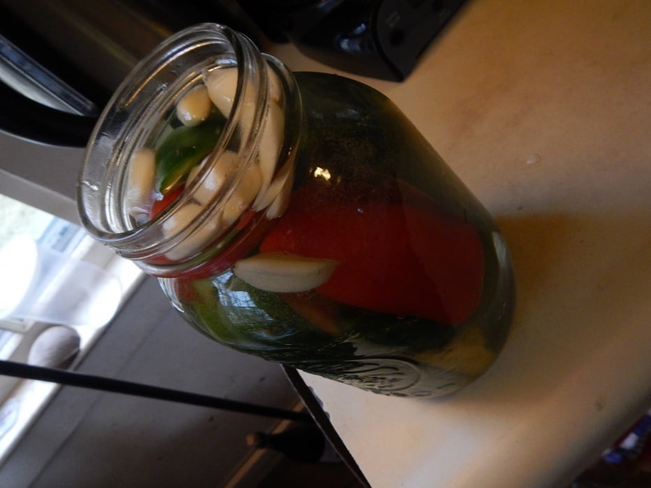 My first fresh cold water pickles!!! | Skillshare Student Project