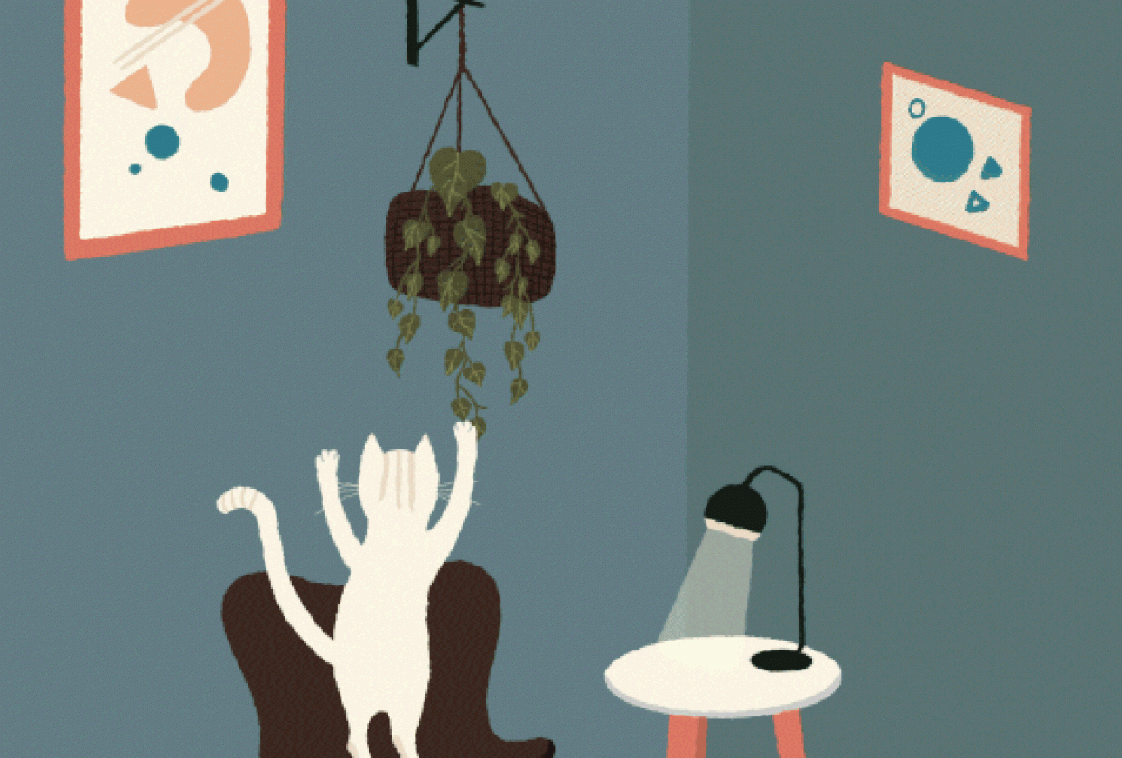 Little corner | Skillshare Student Project