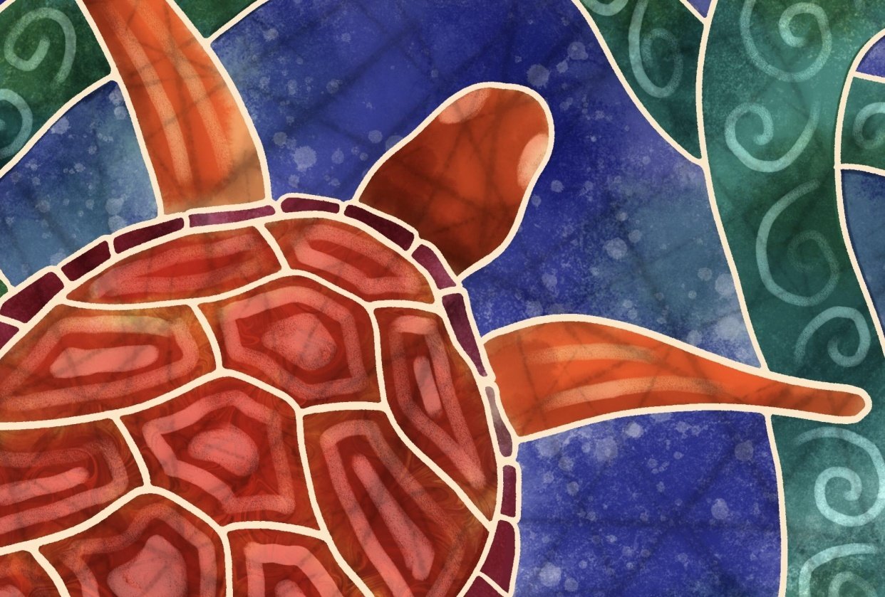 My turtle | Skillshare Student Project