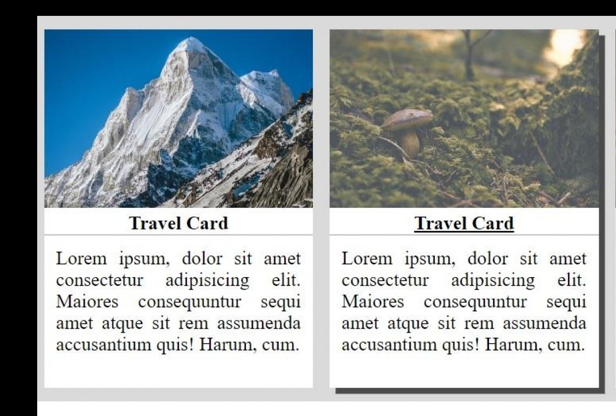 Cards Mini Project | Skillshare Student Project Cards Mini Project | Skillshare Student Project