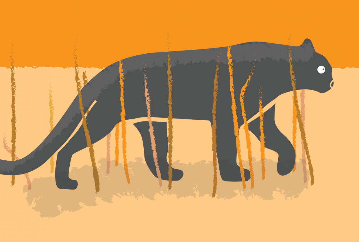 Panther | Skillshare Student Project