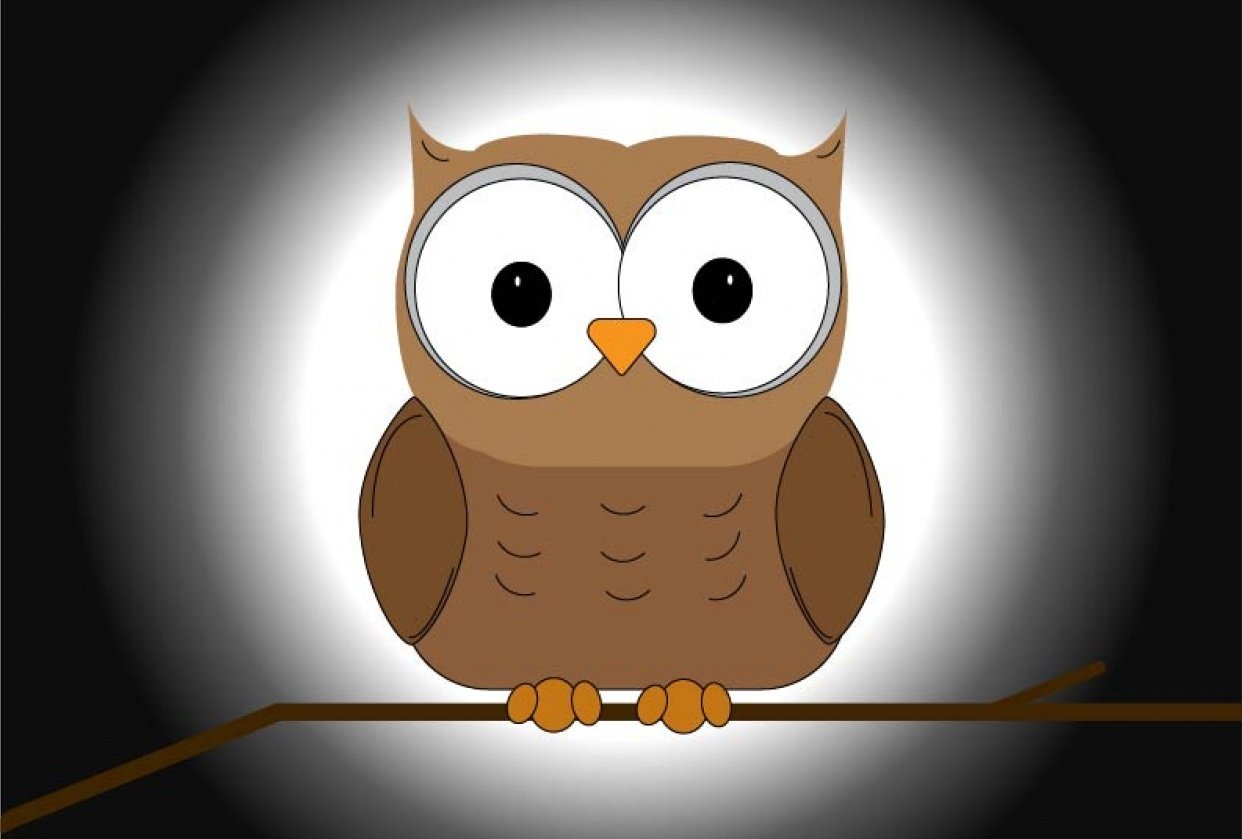 owl | Skillshare Student Project