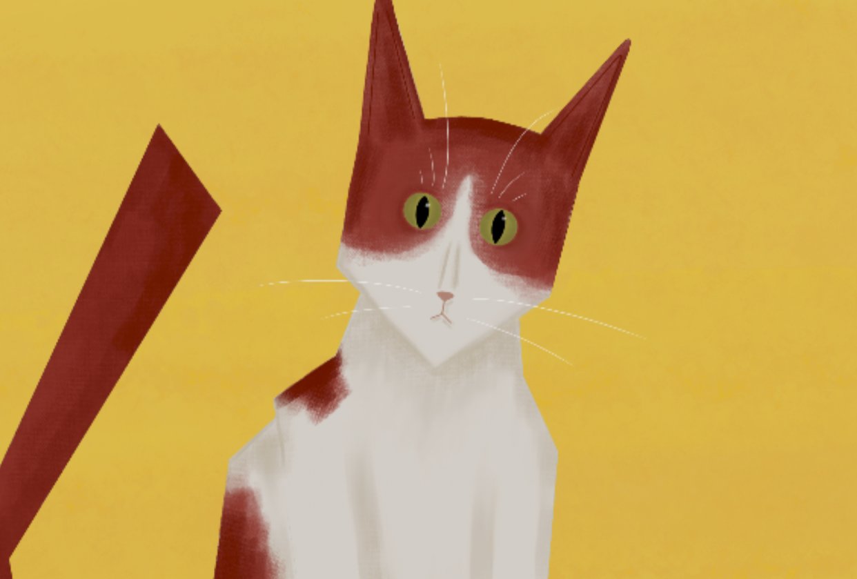 Staring cat | Skillshare Student Project