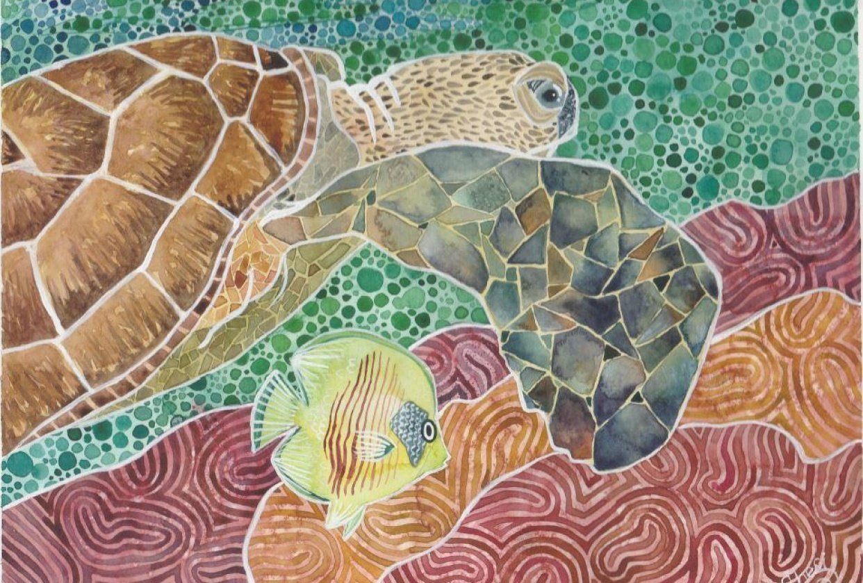 textured turtle | Skillshare Student Project