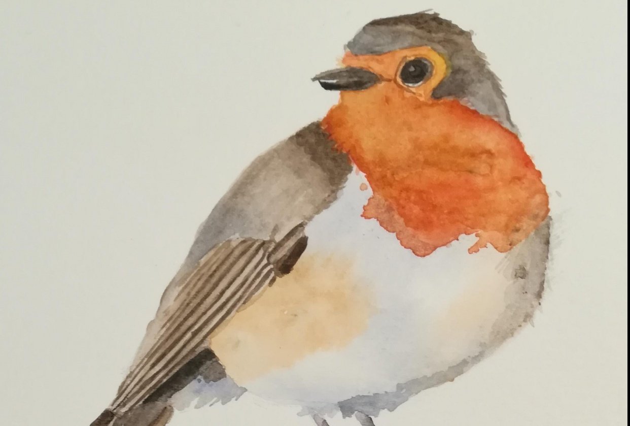 Bea's robin | Skillshare Student Project