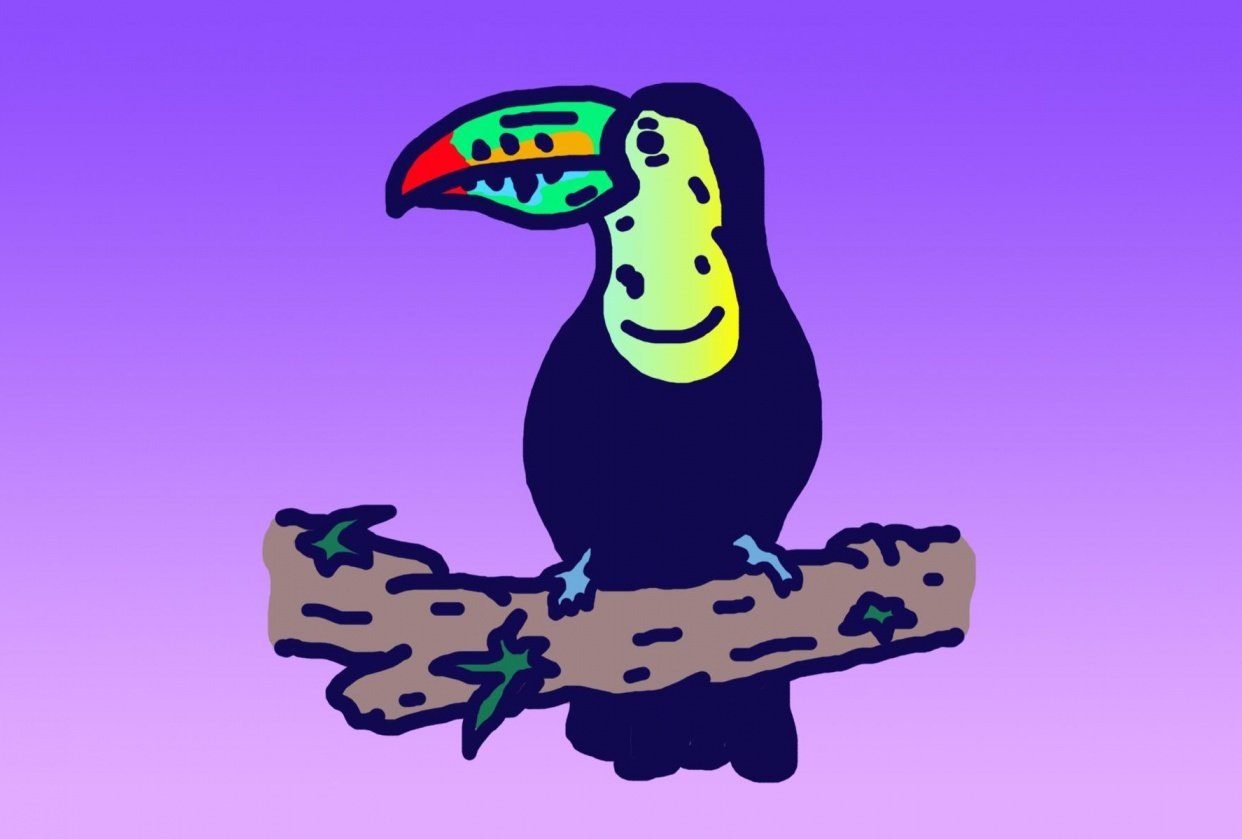 Toucan | Skillshare Student Project