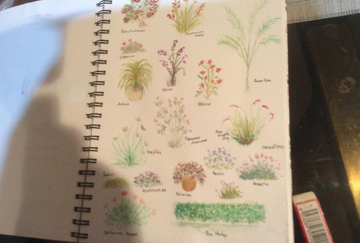 Botanical Illustration : Creating a colorful garden | Skillshare ...