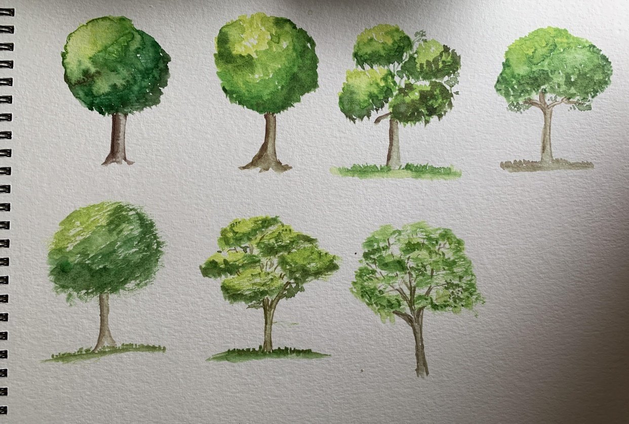 trees | Skillshare Student Project