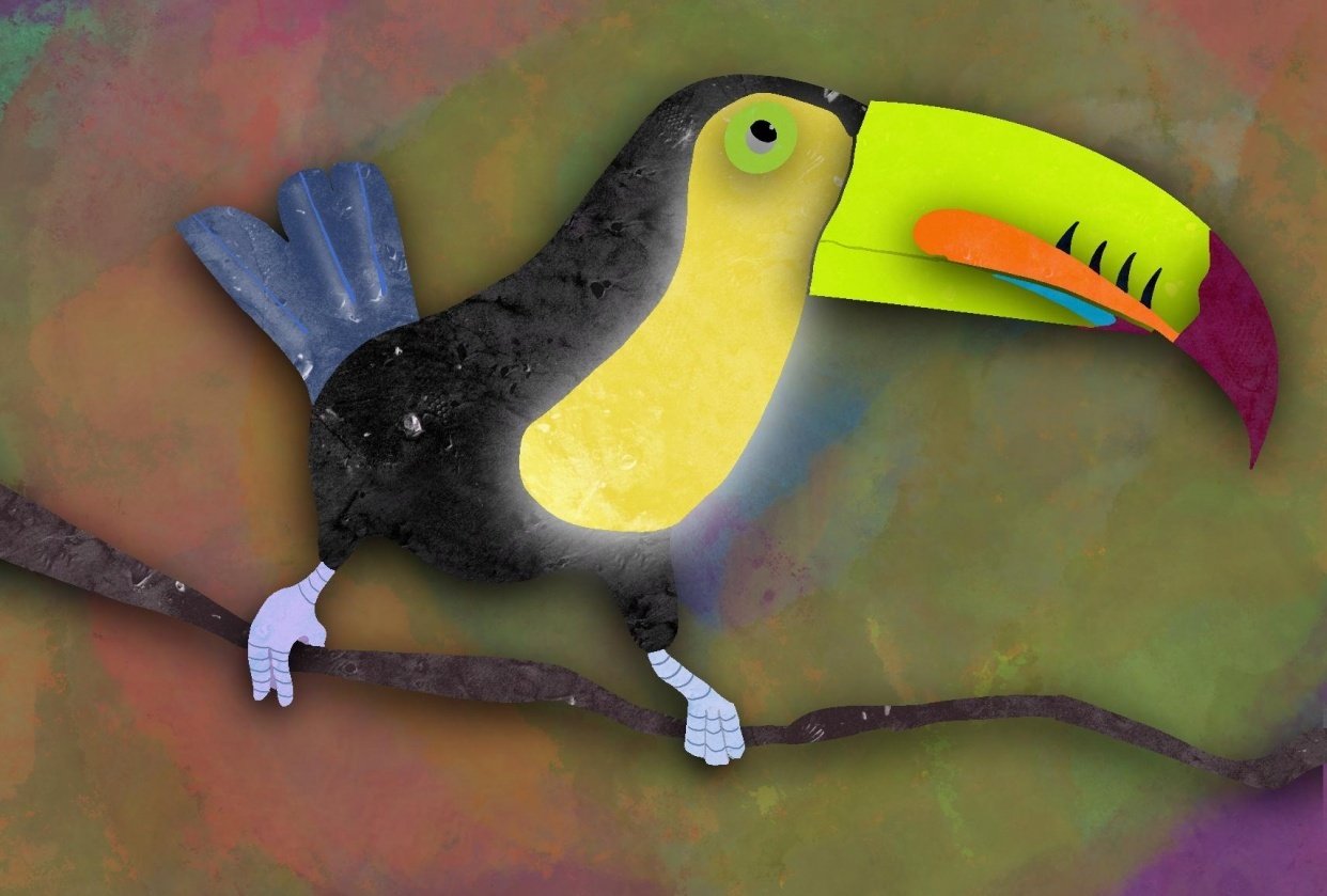 Toucan | Skillshare Student Project