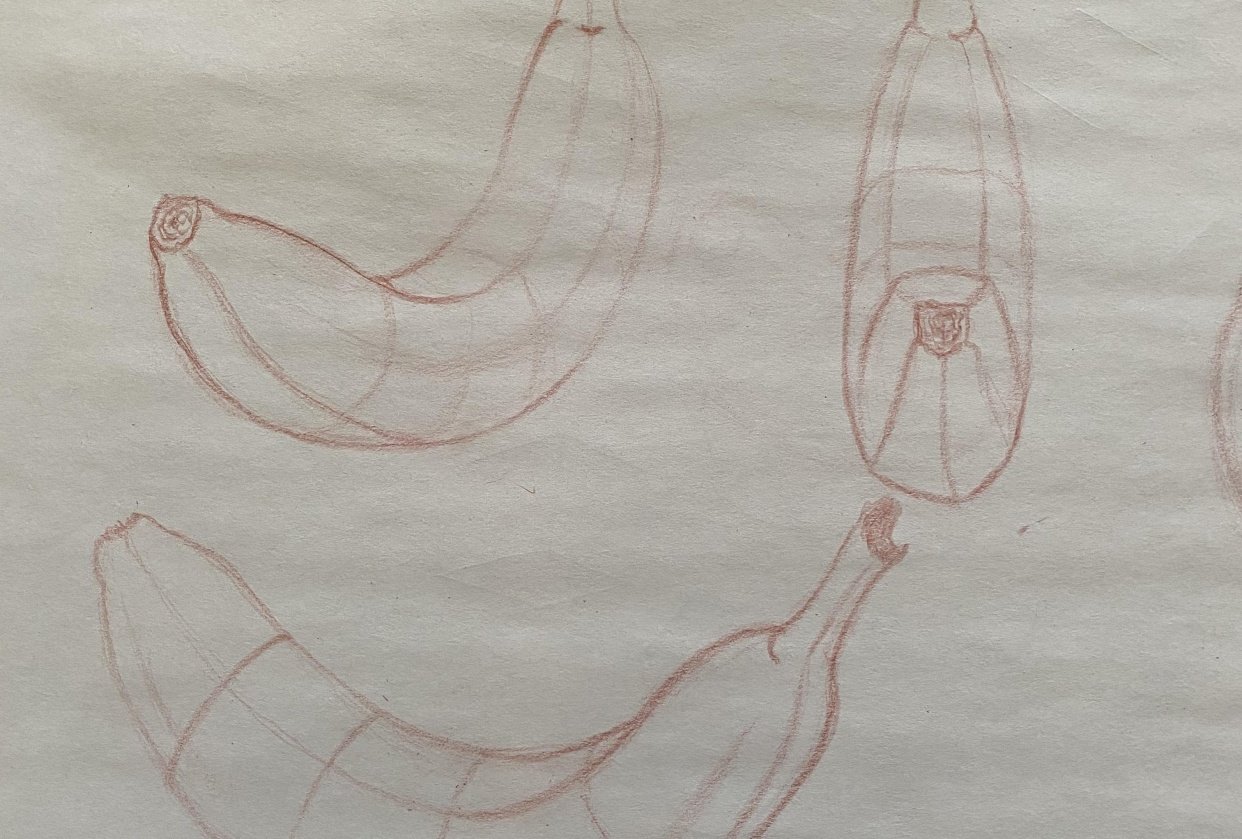 Contours/Drawing with Compelling Contours and Foreshortening ...