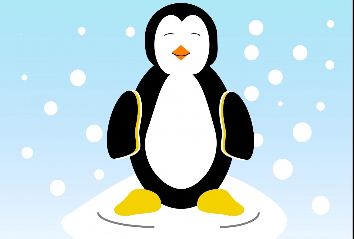 Penguin - Project 1 | Skillshare Student Project