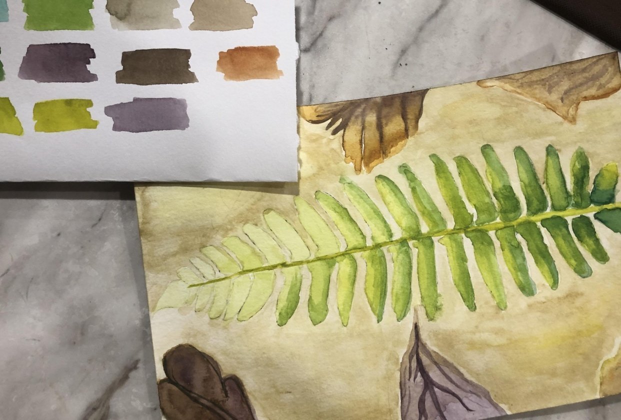 Fern in the sticks | Skillshare Student Project