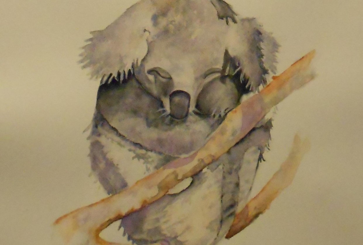 koala | Skillshare Student Project