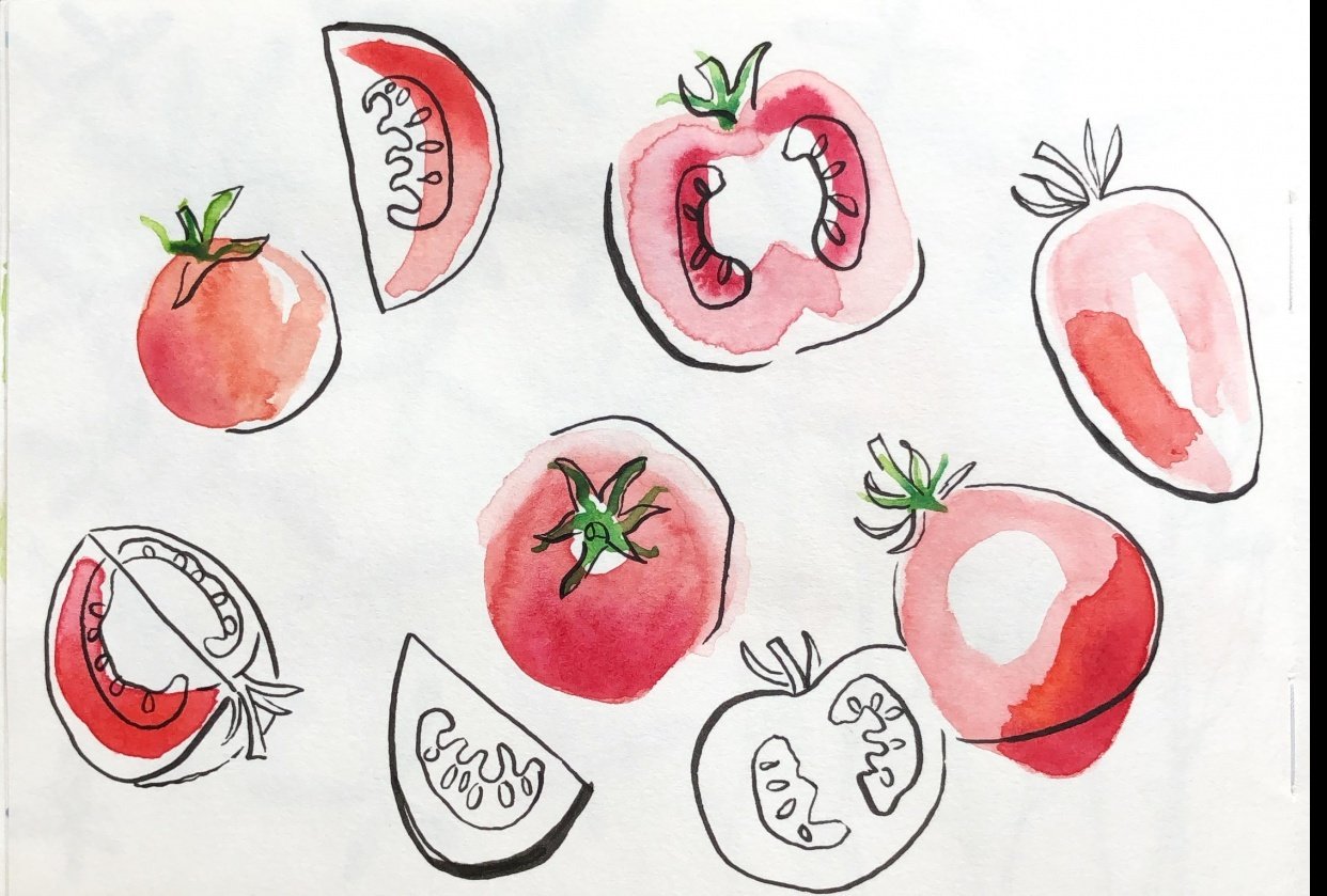 Sketchbook Practice: Watercolour and Ink | Skillshare Student Project