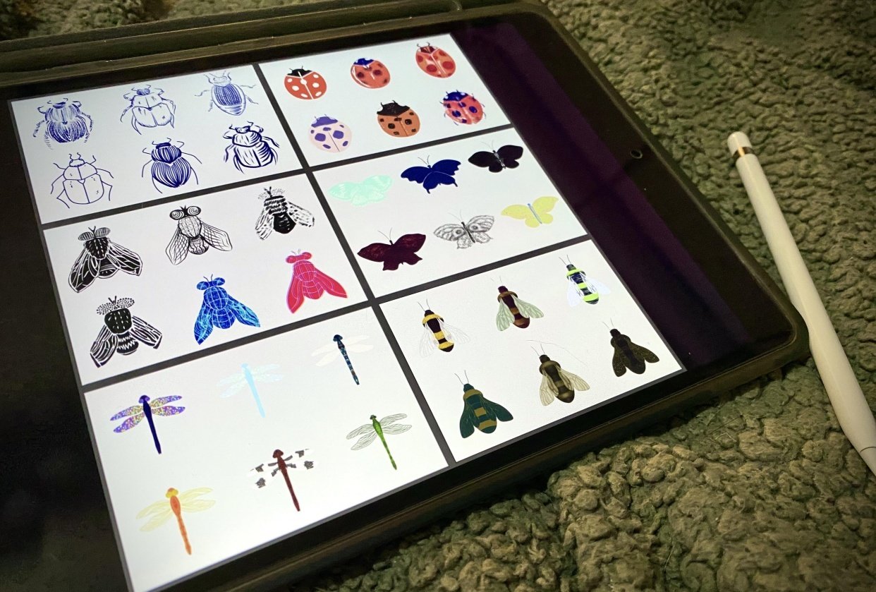 Bugs, show me the way! | Skillshare Student Project